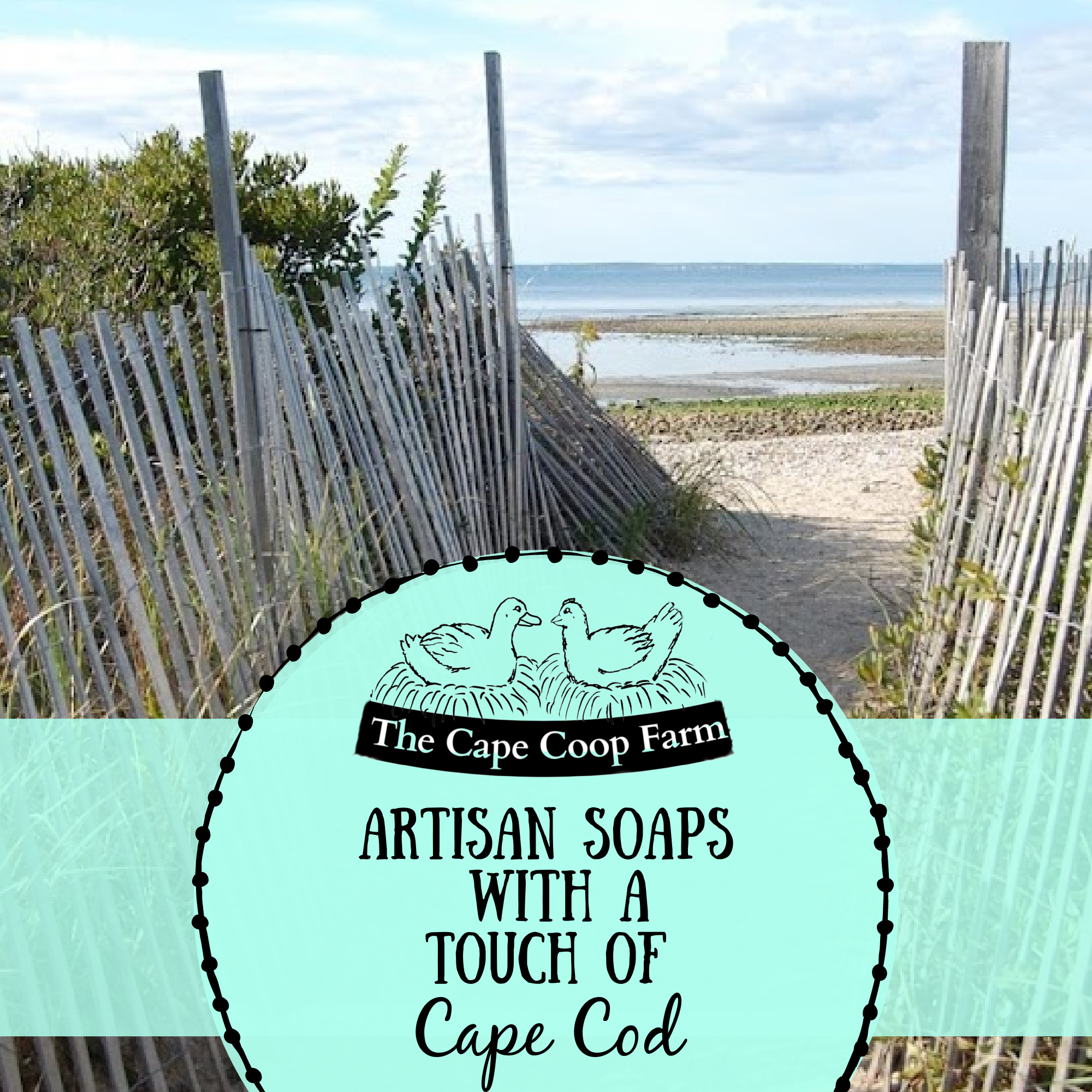 beach1 - The Cape Coop Farm Soap Shop