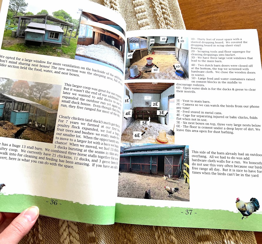 Keeping Backyard Chickens Book - The Cape Coop Farm Soap Shop